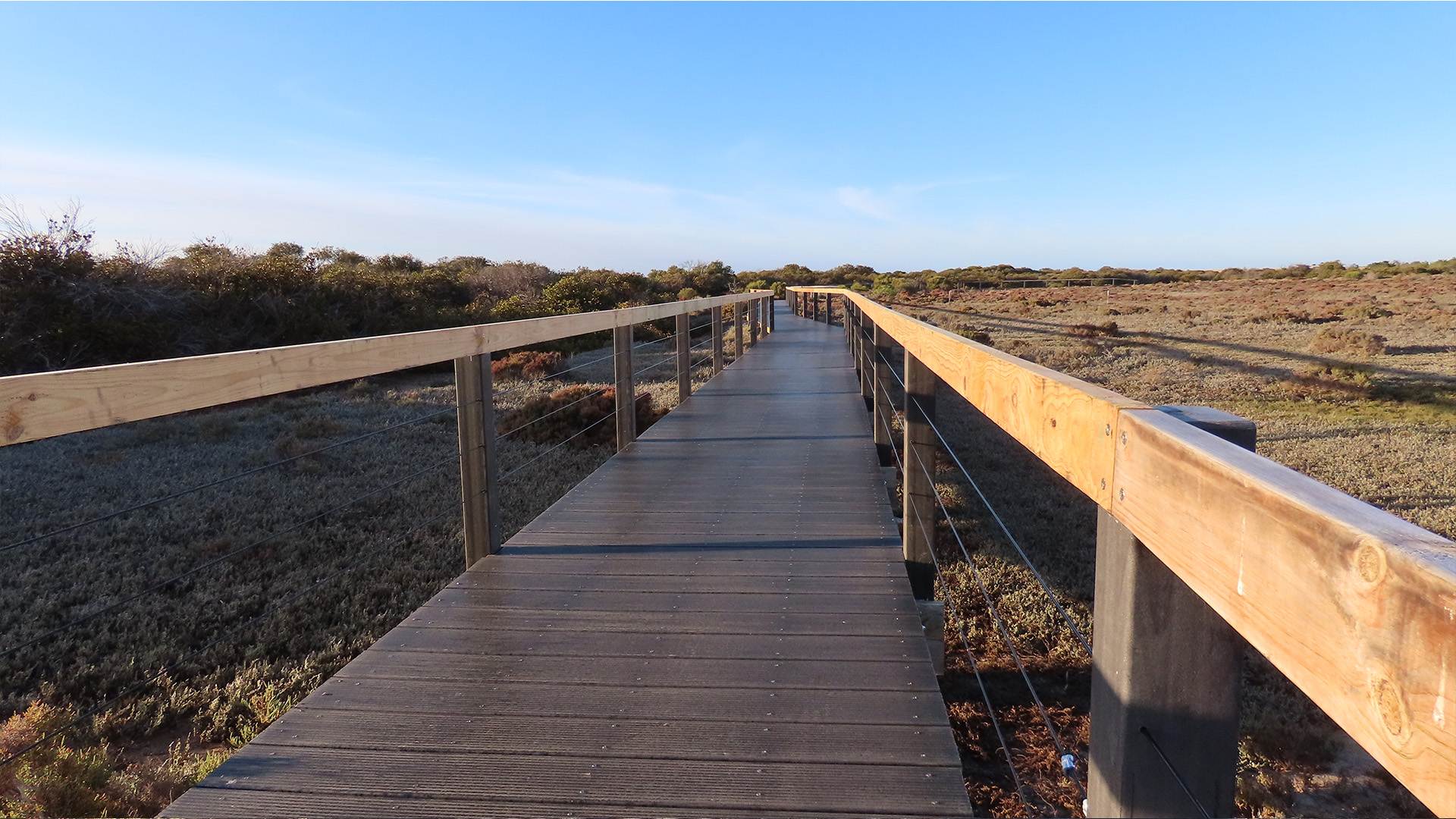 Arno Bay Mangrove Boardwalk – APR Composites | Australian Composite ... Arno Bay Mangrove Boardwalk – APR Composites | Australian Composite ...